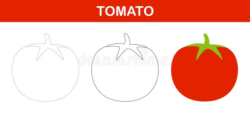 Tomato Tracing and Coloring Worksheet for Kids Stock Vector ...