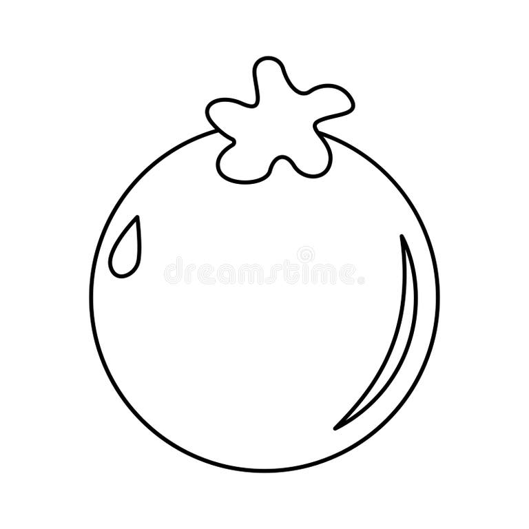 Tomato Vector Icon. Tomato Simple Vector Icon. Vegetable Tomato Vector ...