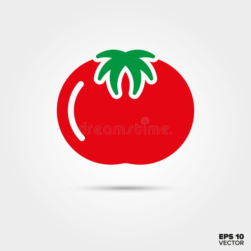 Tomato vector icon stock vector. Illustration of vegetable - 96322219