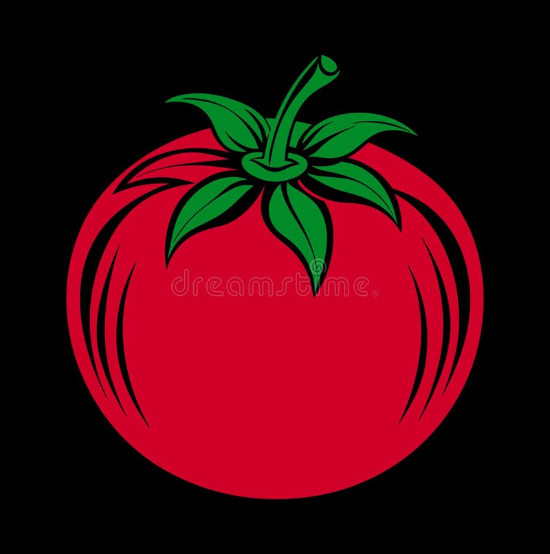 Tomato Vector Illustration Fresh and High-Quality Graphics for Creative ...