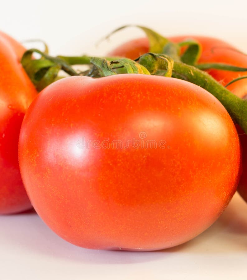 Tomato on the vine stock image. Image of ingredients - 49269881