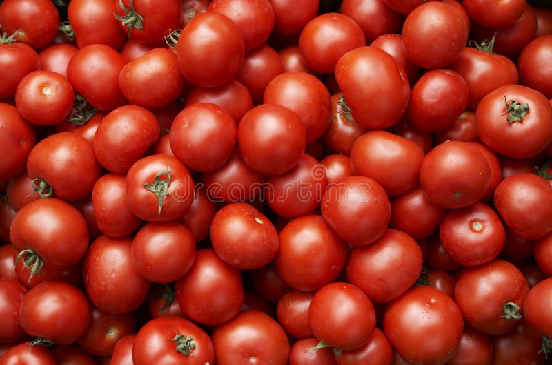 Tomato wallpaper stock image. Image of objects, market - 9505425