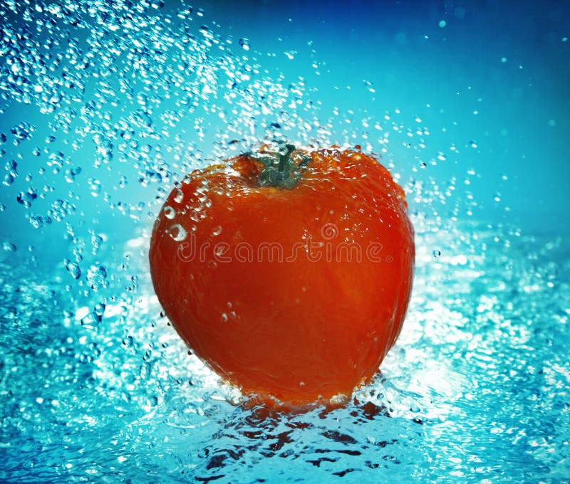 Tomato in water stock photo. Image of juice, motion, refreshing - 23470220