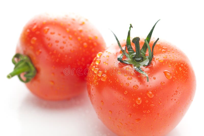 Tomato with water drops stock image. Image of clean, green - 23128123