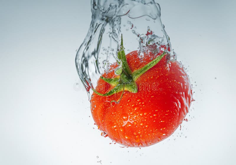 Tomato and water splash stock illustration. Illustration of water ...