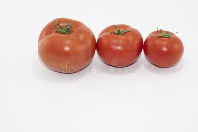 Tomato on White Background. Tomatoes Front View. Close-up Shooting ...