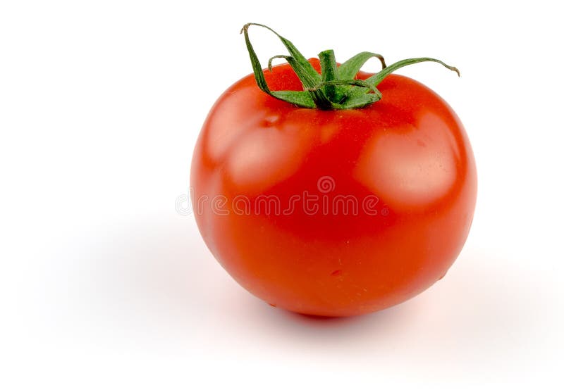 One Tomato stock photo. Image of fresh, sauce, juicy, healthy - 1008220