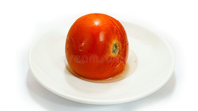 Decomposing Process Stock Photos - Free & Royalty-Free Stock Photos ...