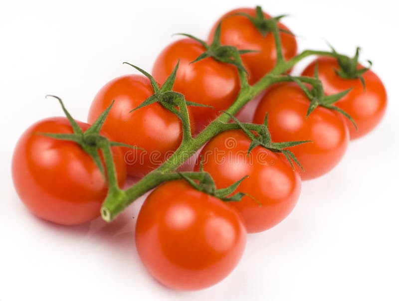Tomatoes stock image. Image of eight, plant, background - 10812419