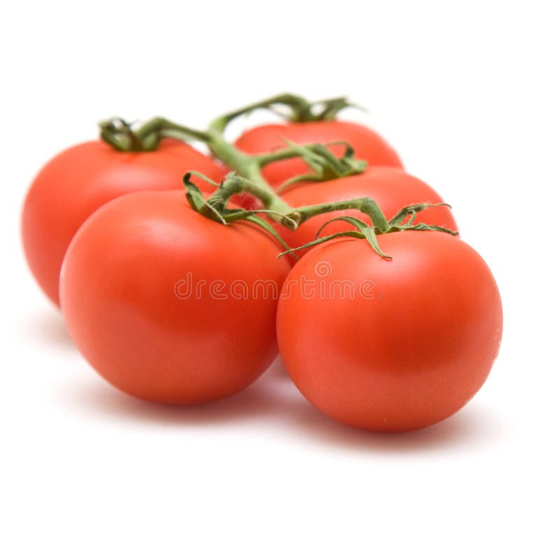 Tomatoes stock photo. Image of vegetable, vitamin, isolated - 14609576