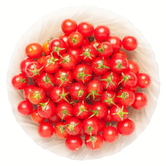 Tomatoes stock photo. Image of studio, plump, plant, juicy - 20983898