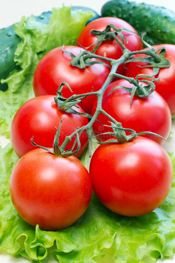 Tomatoes stock image. Image of closeup, plates, veggies - 25260789