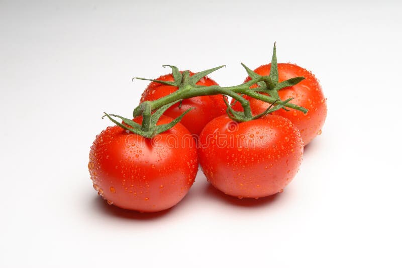 Tomatoes stock photo. Image of vegetarian, tomatoes, fruit - 3211200
