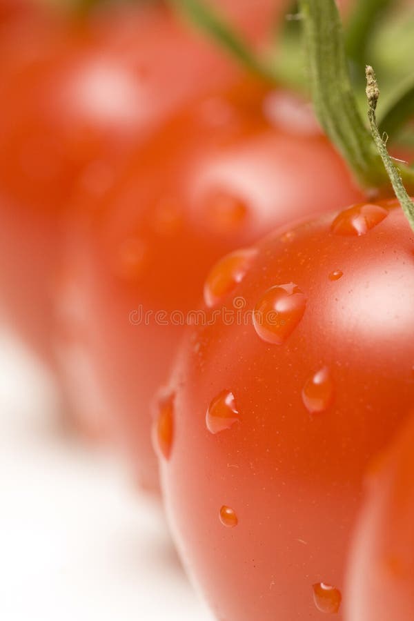 Tomato stock image. Image of fresh, juicy, pulpy, lycopene - 60101289