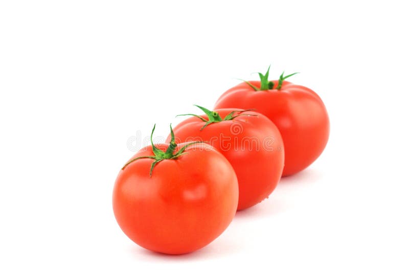 Tomatoes stock photo. Image of healthy, garden, ingredient - 7174406