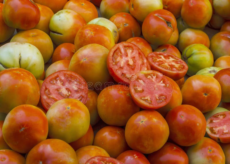 Tomatoes Background stock image. Image of closeup, ecological - 26555375