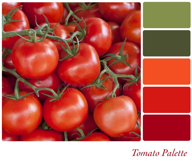 Colour Palette. Vector. Catalog Samples Blue and Purple in RGB HEX ...