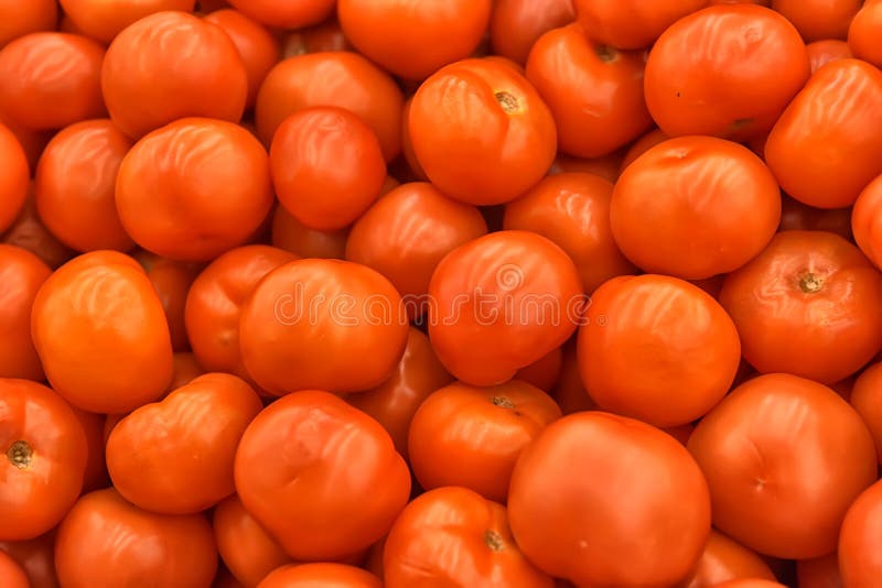 Tomatoes background stock photo. Image of ingredients - 65517304