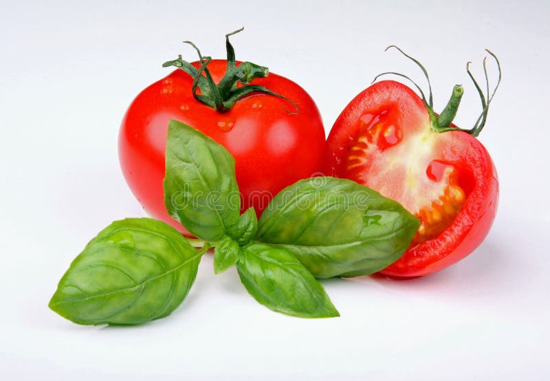 Tomatoes and basil stock image. Image of leaves, flavoring - 12139887