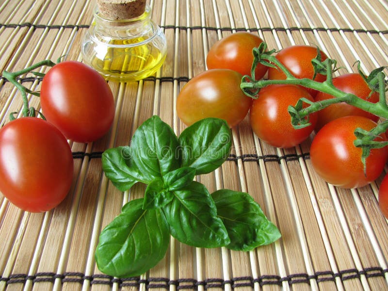 Tomatoes and basil stock image. Image of tomato, fresh - 16077839