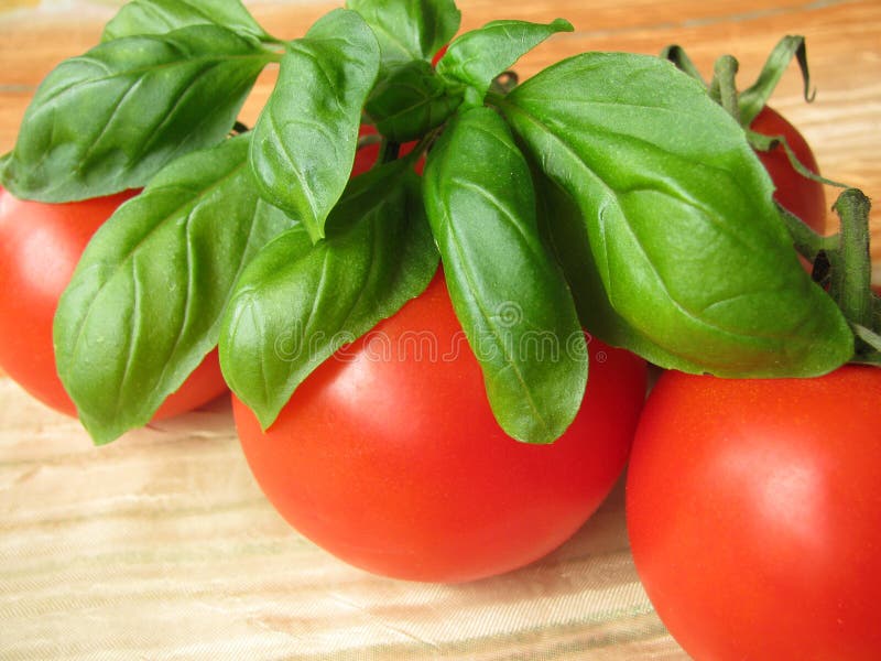 Tomatoes and basil stock image. Image of seasoning, salad - 16207515