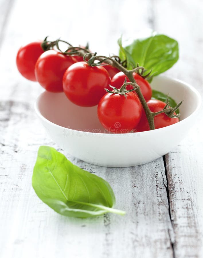 Tomatoes and basil stock image. Image of cherry, fresh - 20375555