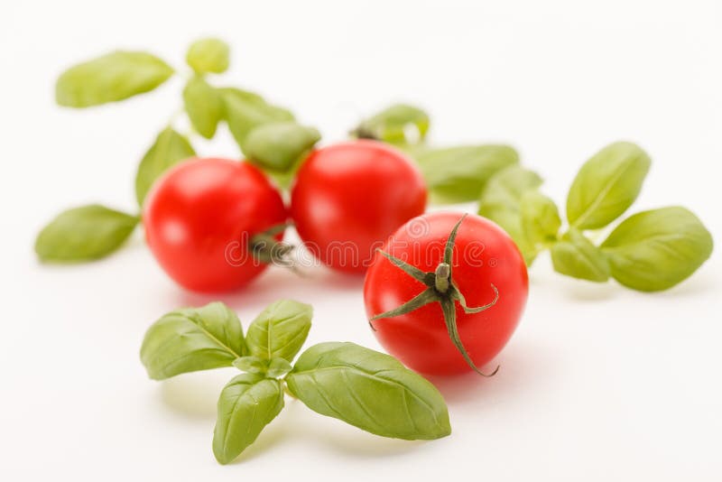 Tomatoes and basil stock image. Image of salad, healthy - 27012269