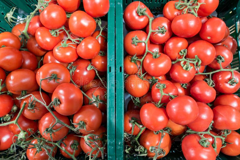 Box of tomatoes stock image. Image of food, farming, agriculture - 5471837