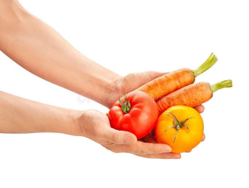 Tomatoes Carrots Vegetables in Hand Stock Photo - Image of handful ...
