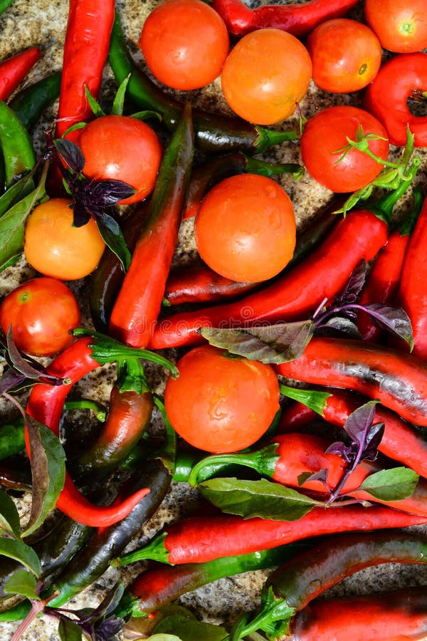 Tomatoes and Chilli Peppers Stock Photo - Image of shelli, still: 76767210