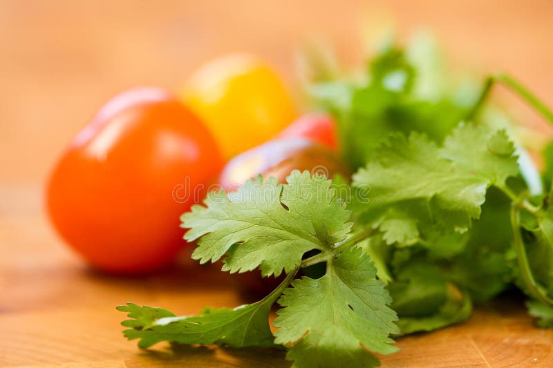 Tomatoes and Cilantro stock image. Image of leaves, heirloom - 11807005