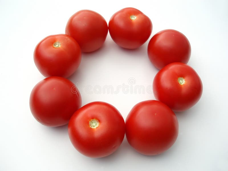 Tomatoes in a circle stock image. Image of circle, round - 194781