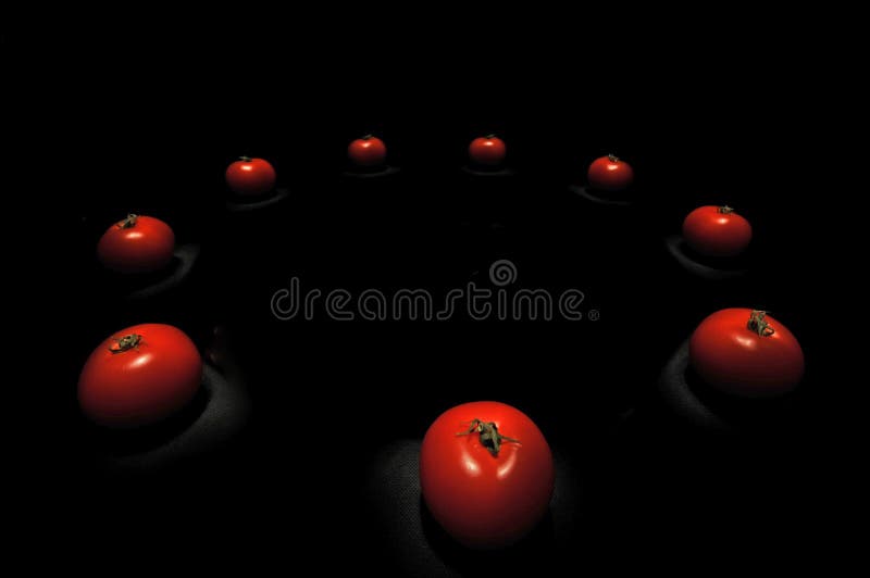 Tomatoes in a circle stock image. Image of nutrition, mirror - 9761215