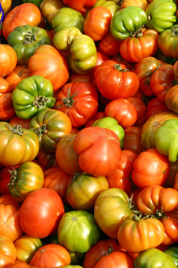 Tomatoes, close-up stock image. Image of vegetables, colours - 74956595