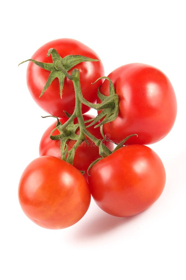 Tomatoes cluster stock image. Image of green, healthy - 51461769