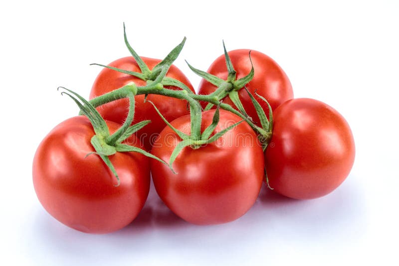 Tomatoes cluster stock image. Image of green, healthy - 51461769
