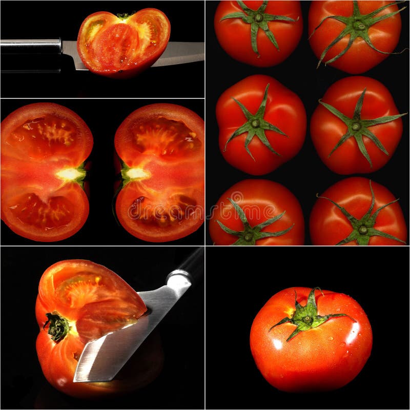 Tomatoes collage stock photo. Image of leaf, closeup - 47417104