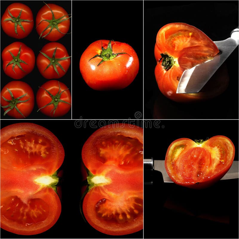 Tomatoes collage stock photo. Image of tomato, green - 47417134