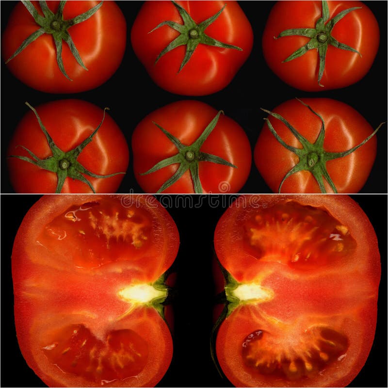 Tomatoes collage stock image. Image of vegetable, food - 47578411