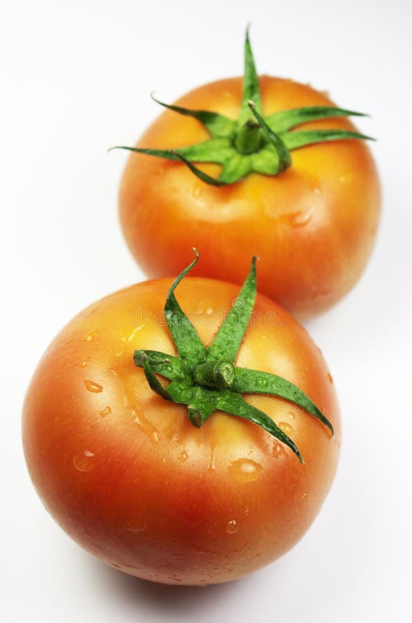 Tomatoes stock photo. Image of vegetable, fresh, studio - 33972934