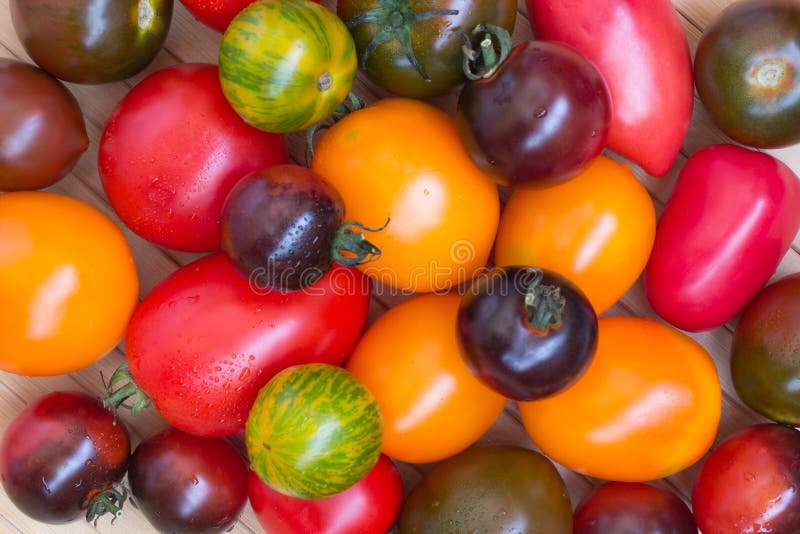 Tomatoes of Different Colors Close Up Stock Photo - Image of snack ...