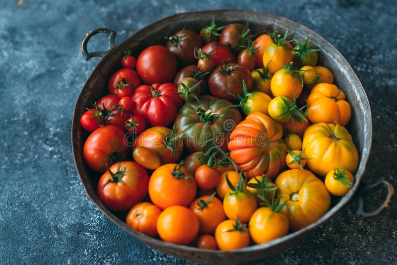 Tomatoes of Different Colors are Displayed As a Gradient on a Dark ...
