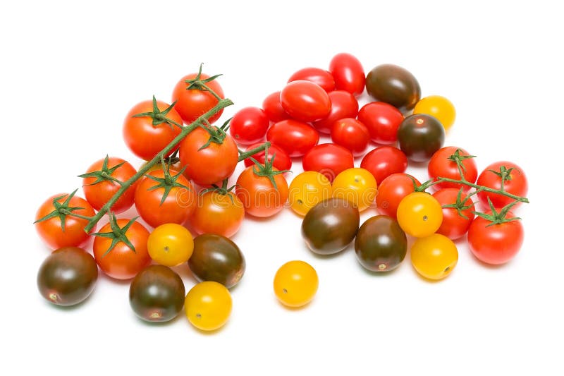 Tomatoes of Different Varieties and Colors on a White Background Stock ...