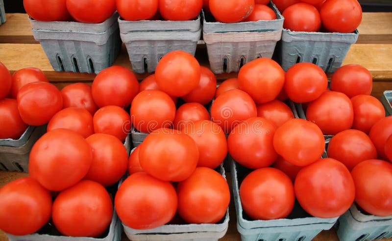 Tomatoes on Display at a Farmers Market Stock Photo - Image of organic ...