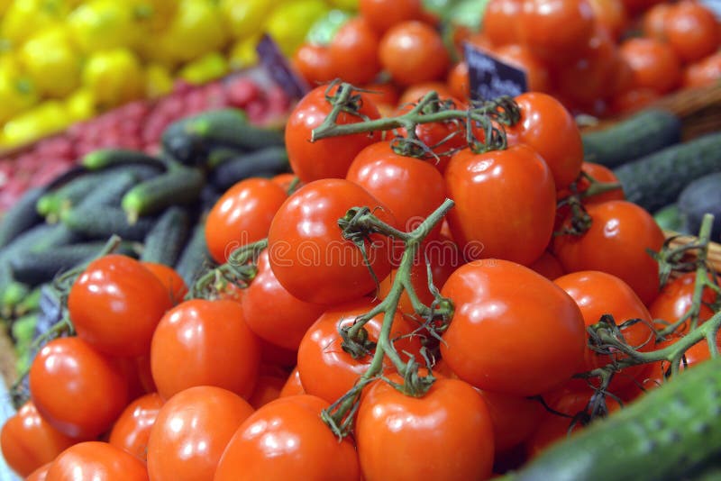 Tomatoes on display stock photo. Image of freshness, shopwindow - 53458046