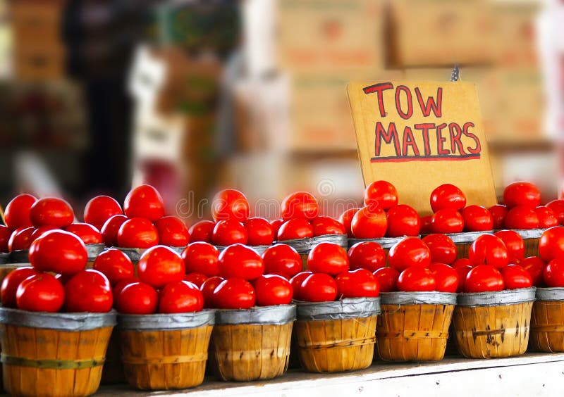 Farmer S Market Tomatoes Displayed in Wooden Baskets with a Funny Sign ...