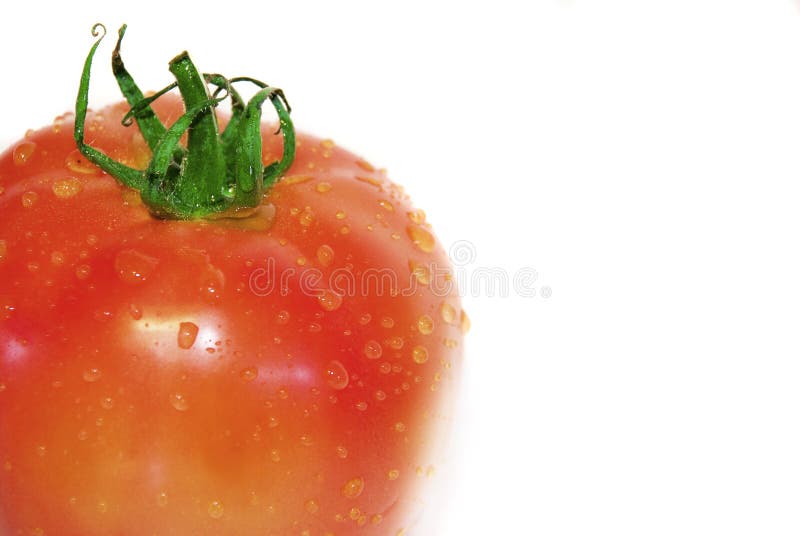 Tomatoes with Drops of Water Isolated on White Stock Image - Image of ...