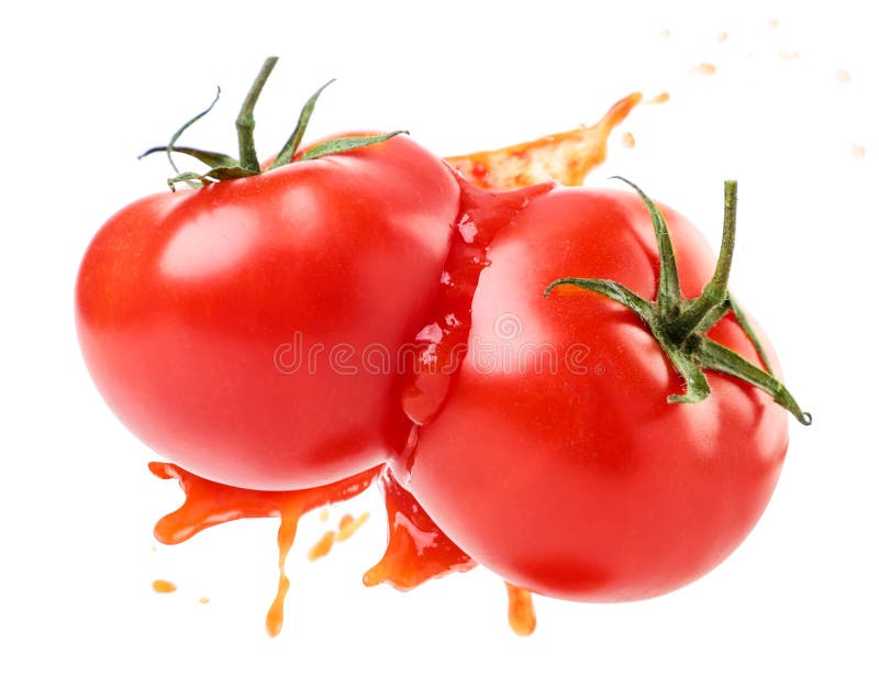Tomatoes Faced and Flying Splash on White Isolated Background ...