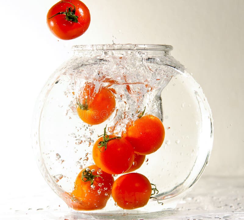 Tomatoes Falling into Water Stock Photo - Image of food, ripe: 74980908