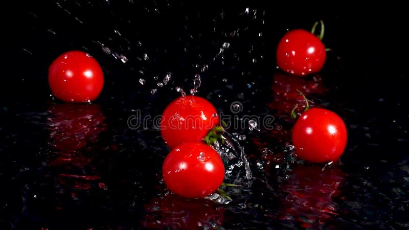 Tomatoes Falling into the Water with a Splash and Bubbles on Black ...